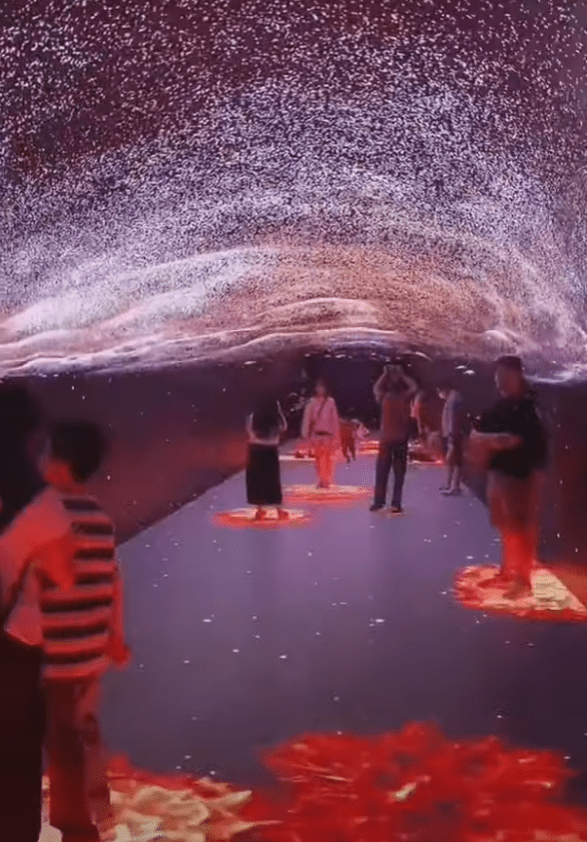 Curved and interactive LED tunnel | Arno Vrijman iFolio